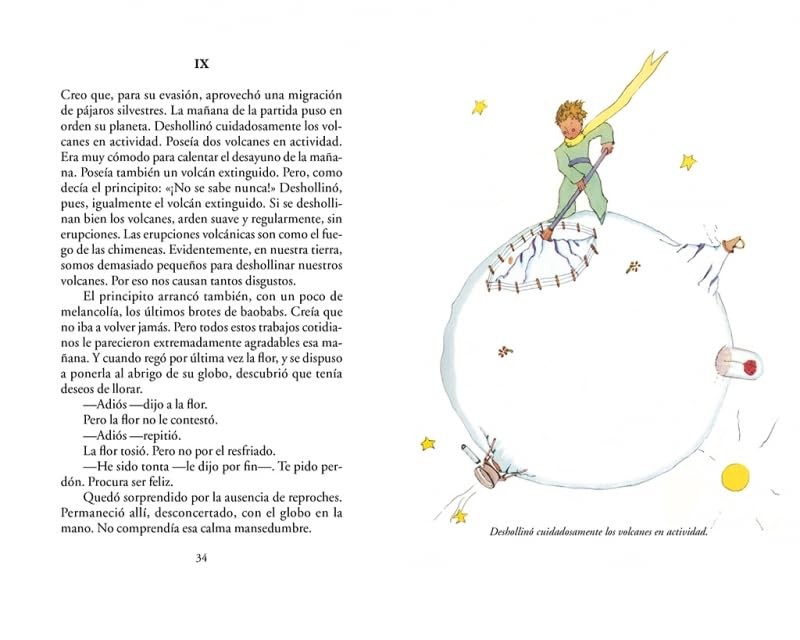 El Principito / The Little Prince (Spanish Edition) | eBay