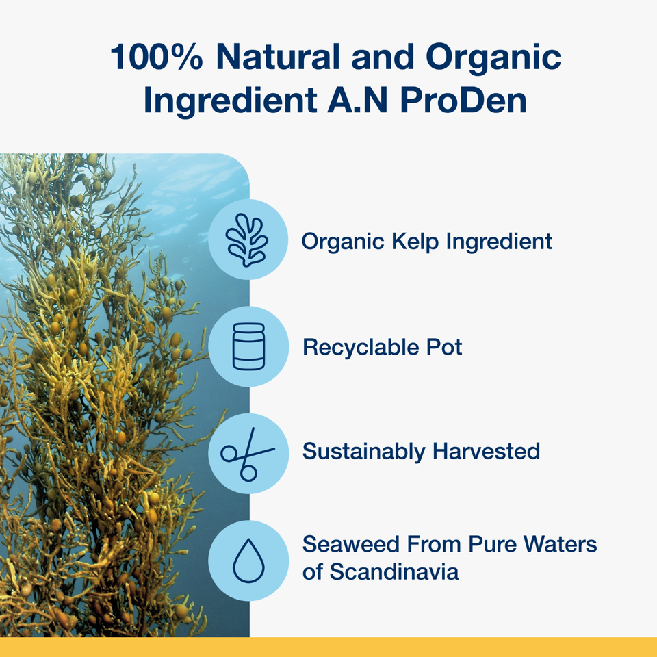 Proden PlaqueOff Tablets for Humans Removes Plaque Tartar and Bad ...