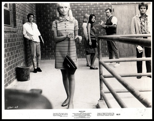 Diane McBain in Maryjane (1968) PORTRAIT ORIGINAL VINTAGE PHOTO M 157 | eBay