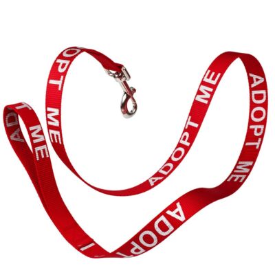 Reflective "ADOPT ME" Leash W 5/8" x L 48" - Red | eBay