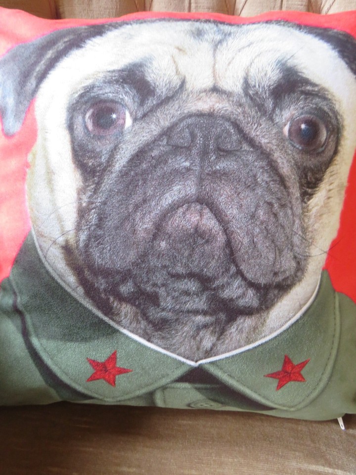 COMMUNIST CHINA CHAIRMAN MAU PUG TOY DOG RED ARMY LEADER CUSHION COVER ...