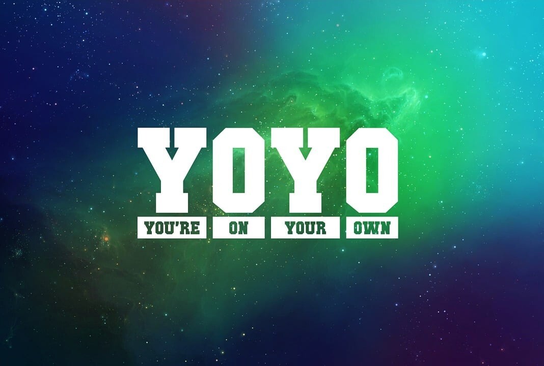 YOYO YOURE ON YOUR OWN QUOTE *2X3 FRIDGE MAGNET* STRENGTH OUTLOOK ...