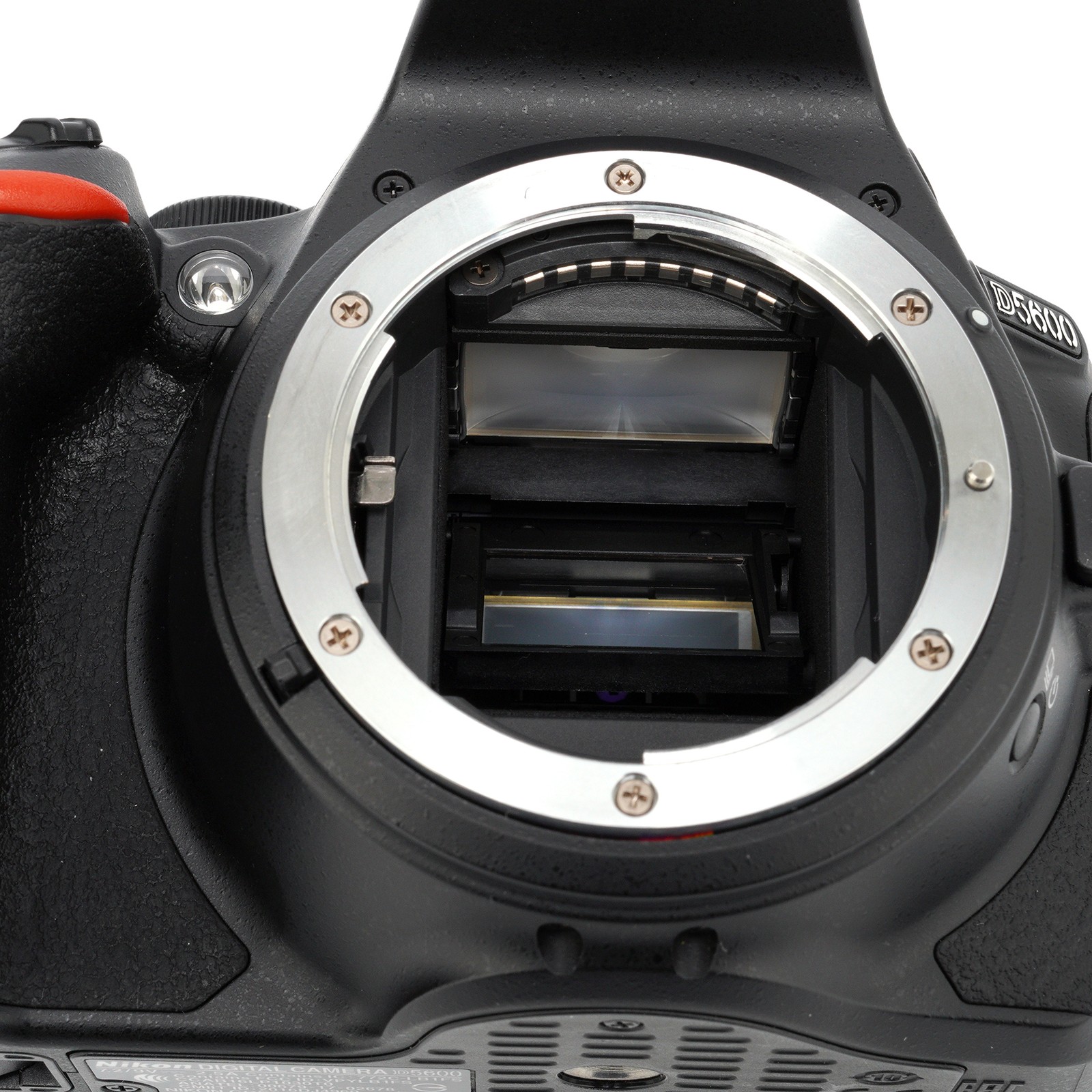 Nikon D5600 24.2 MP Digital SLR Camera- Black for sale online | eBay