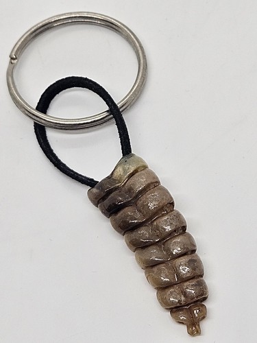 Vintage Southwestern Real Rattlesnake Snake Rattle Tail Keychain Key ...