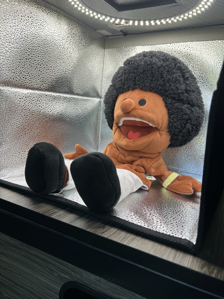 SML Lil T Puppet In Used Condition | eBay