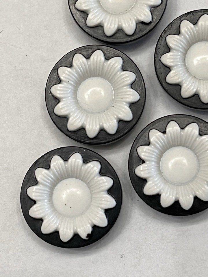 Vintage Set of 6 Black & White COLT #10 DAISY Flower Buttons - 3/4 ...