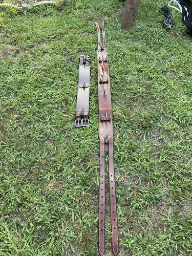 Leaders Leather Training Surcingle For Horse High Quality | eBay