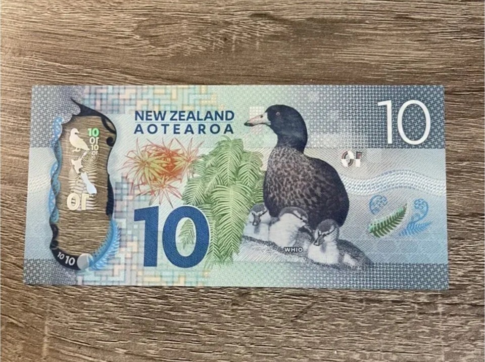 10 Dollars New Zealand Uncirculated Note 2015 Kate Sheppard Blue Duck ...