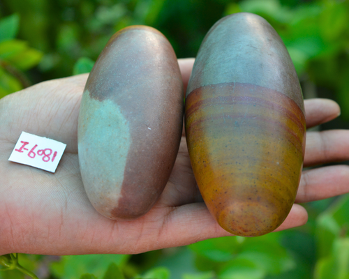 3.5"3" SHIVA LINGAM STONE NARMADA RIVER INDIA VERY RARE & PURE LINGAM~I ...