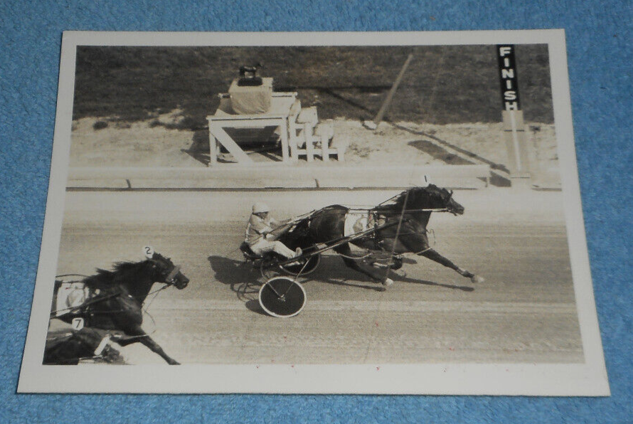 1975 Harness Racing Press Photo Horse "Nero" Joe O'Brien Adios Pace ...