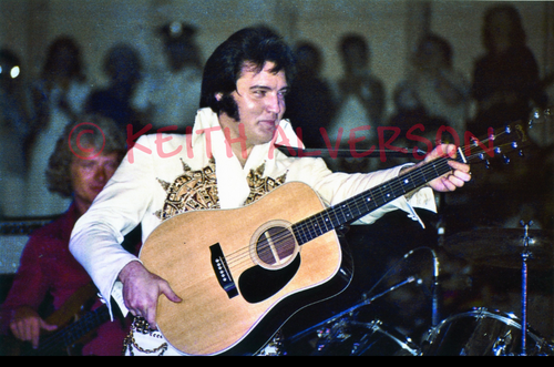 ELVIS PRESLEY COLOR CONCERT PHOTOGRAPH #2 - MACON, GA - JUNE 1, 1977 | eBay