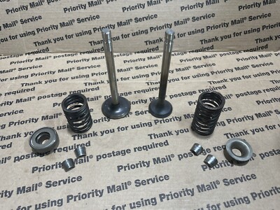 OEM Kohler 8HP Magnum M8 Intake Exhaust Valve Kit NLA 230027-S 230008-S ...