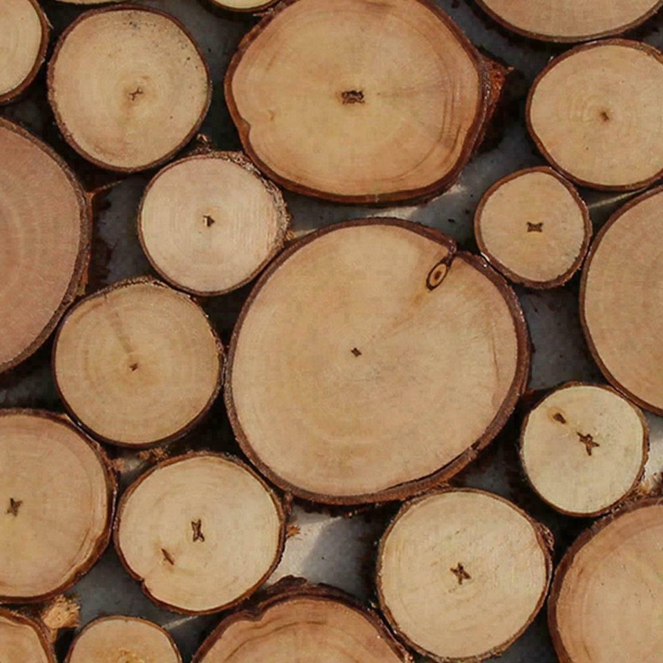 100pcs Natural Pine Wood Slices Round Disc Tree Bark Circ Craft Chips ...