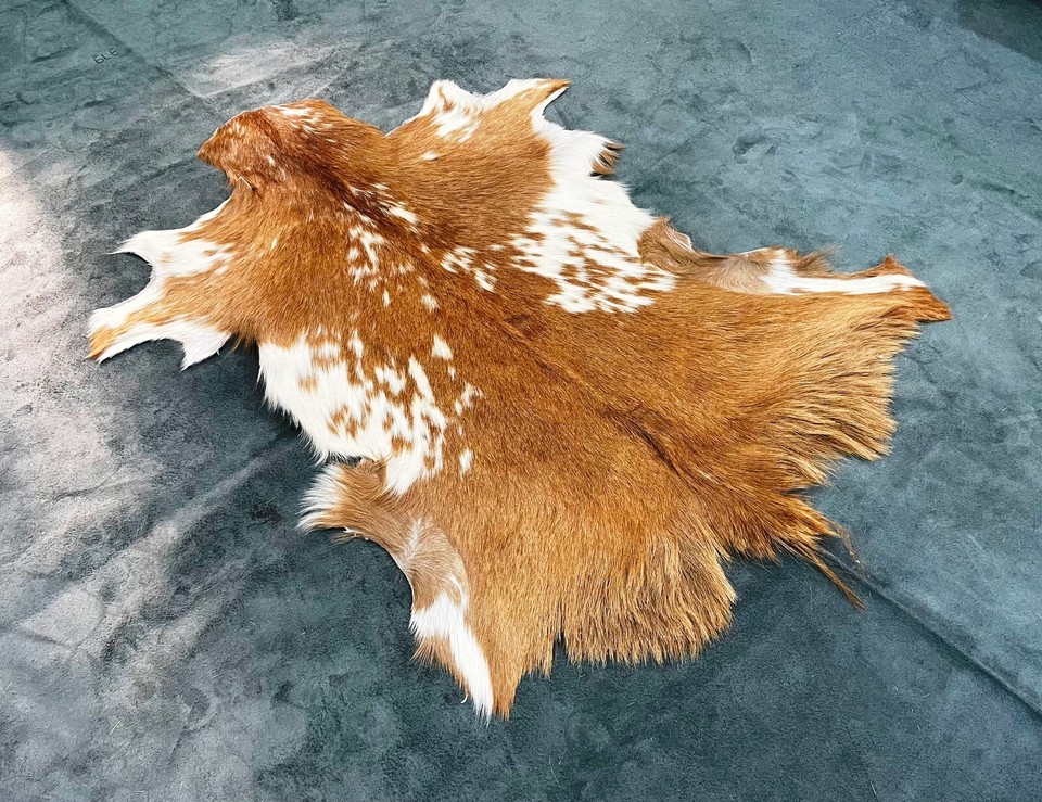 Scandinavian Pelt, Real Leather Goat Hide Animal Skin, Nordic Summer ...