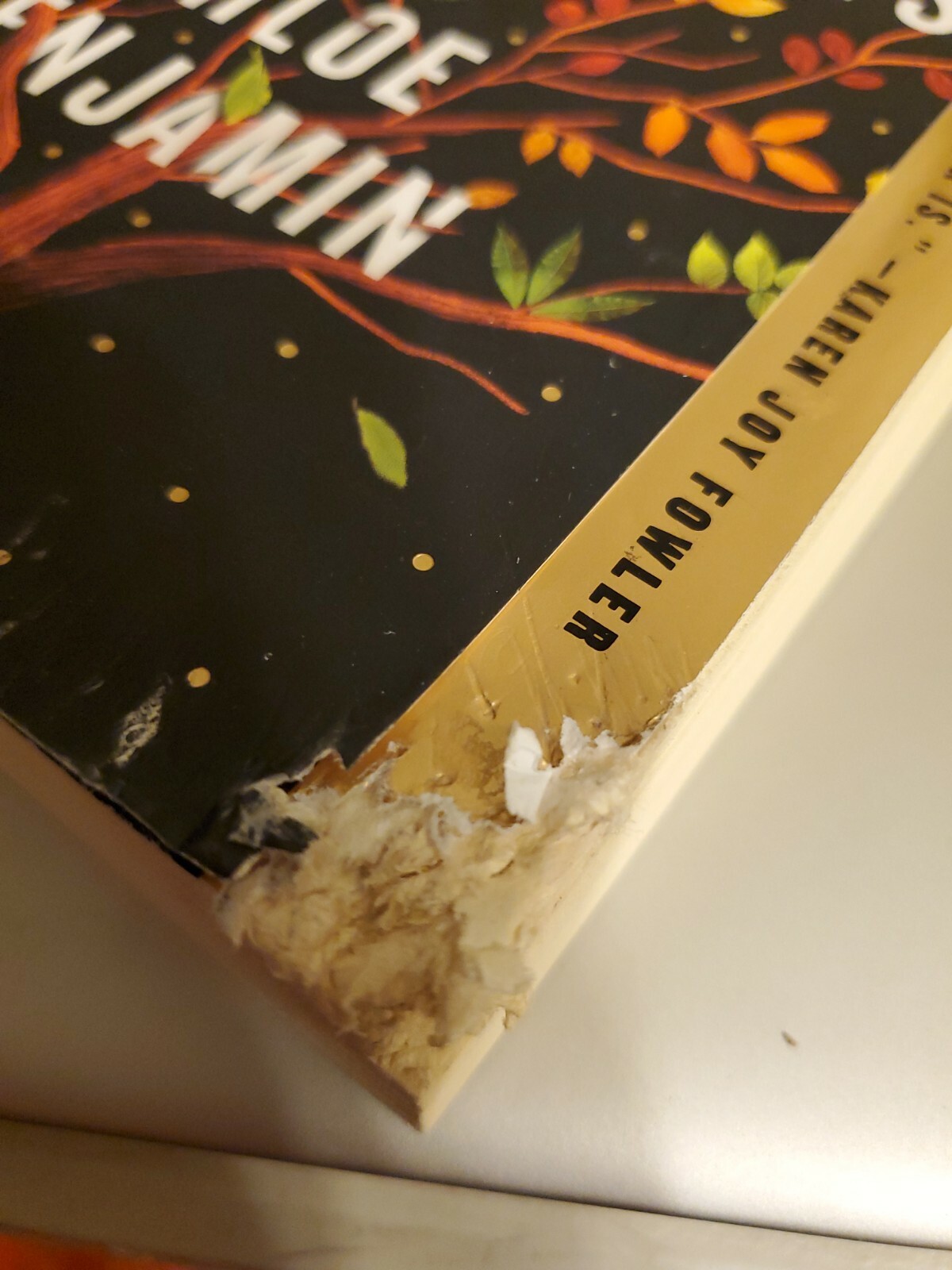 The Immortalists by Chloe Benjamin (2018, Hardcover) 9780735213180 | eBay