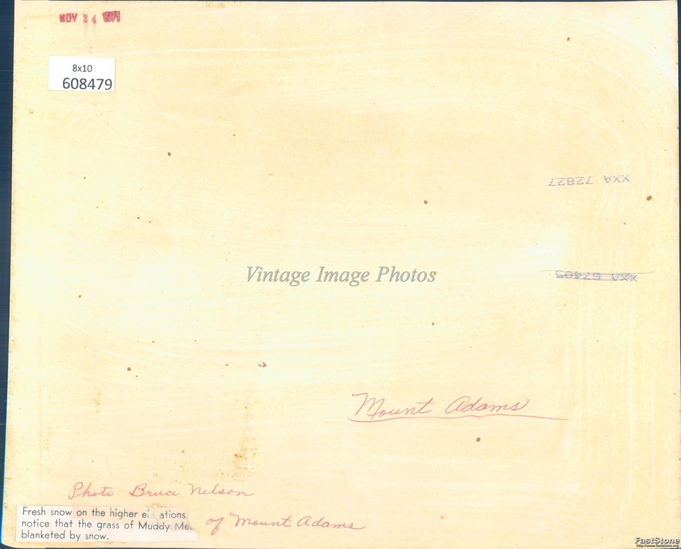 1971 Mount Adams Bruce Nelson Snowy Summit Winter 8X10 Historic Vintage ...