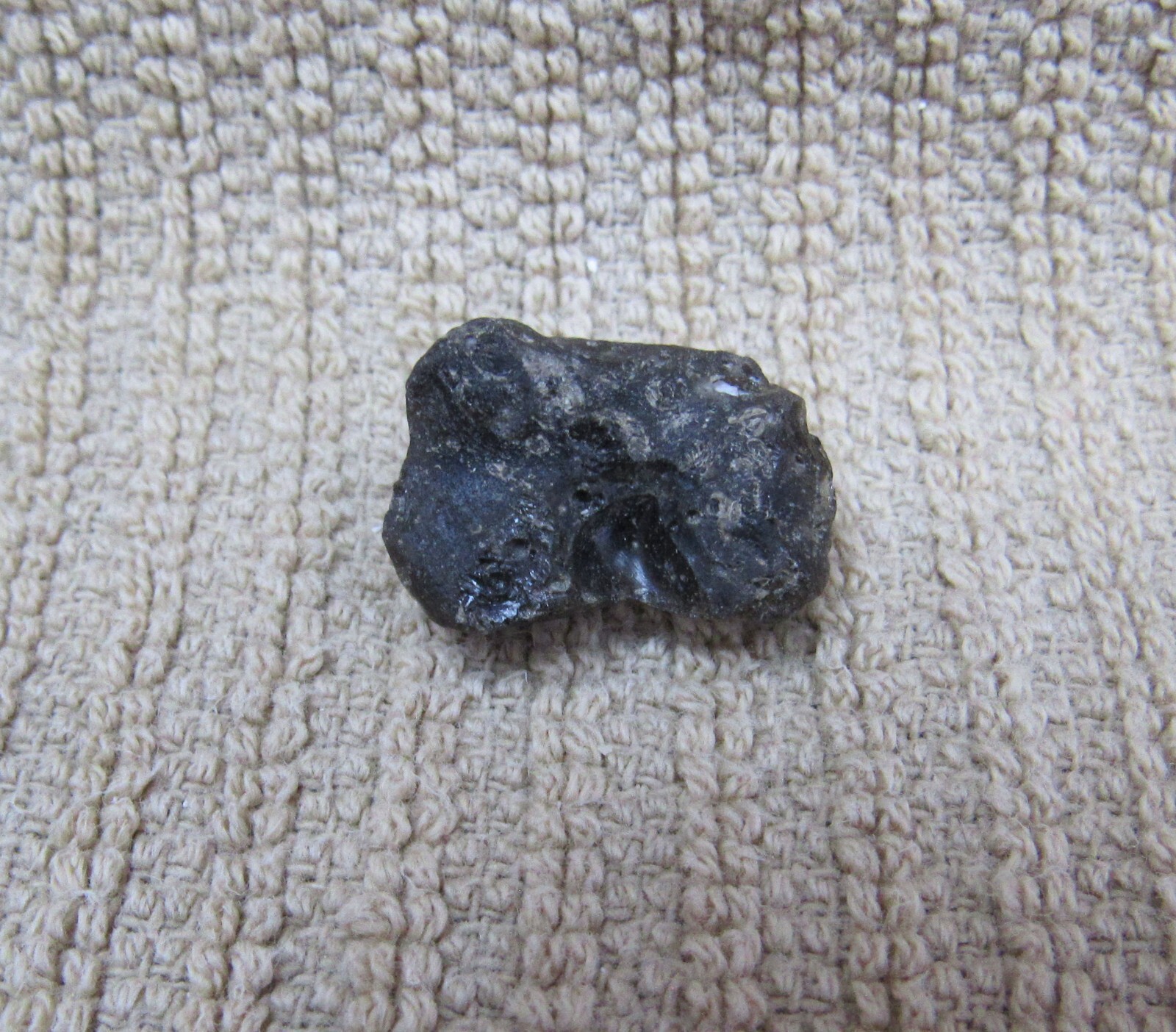 Mt Darwin Tasmania Darwin Glass Meteor Tektite | eBay