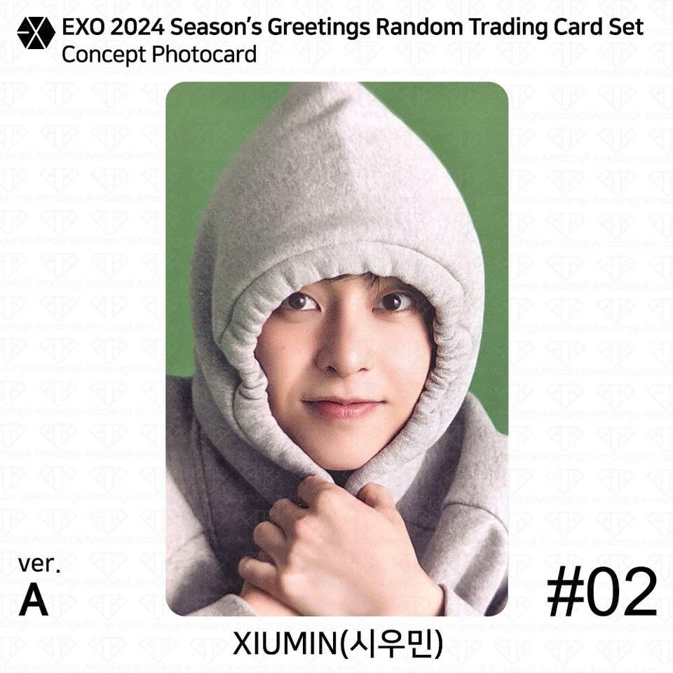 EXO 2024 Season's Greetings Random Trading Card Set Concept Selfie ...