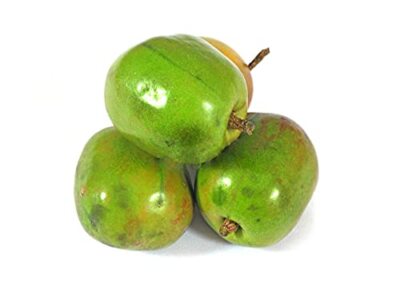 Fresh or Frozen Jocote Fruit (Spanish Plum, Obo, Jobo, Xocote) 2 - 3 ...