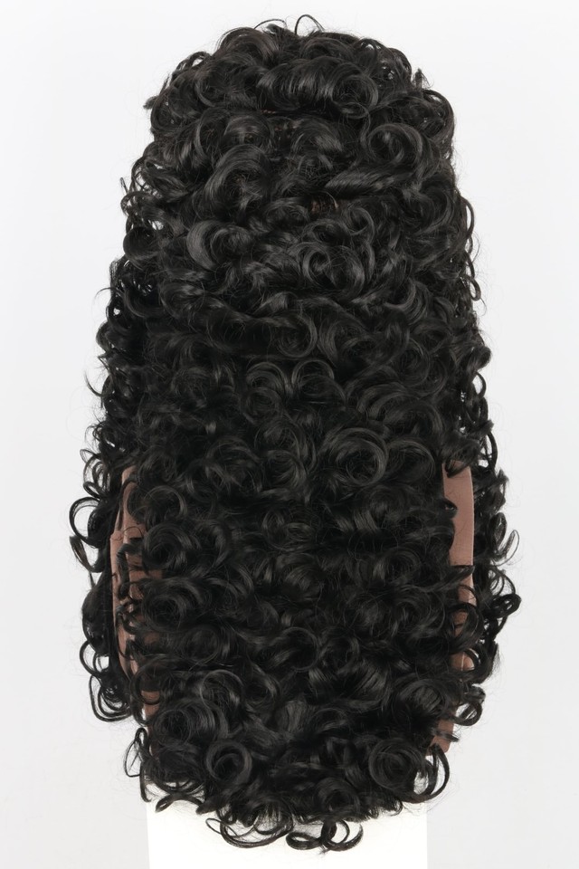 Pirate Captain Wigs for Men Black Long Curly Wave Pirate Costume Wig ...