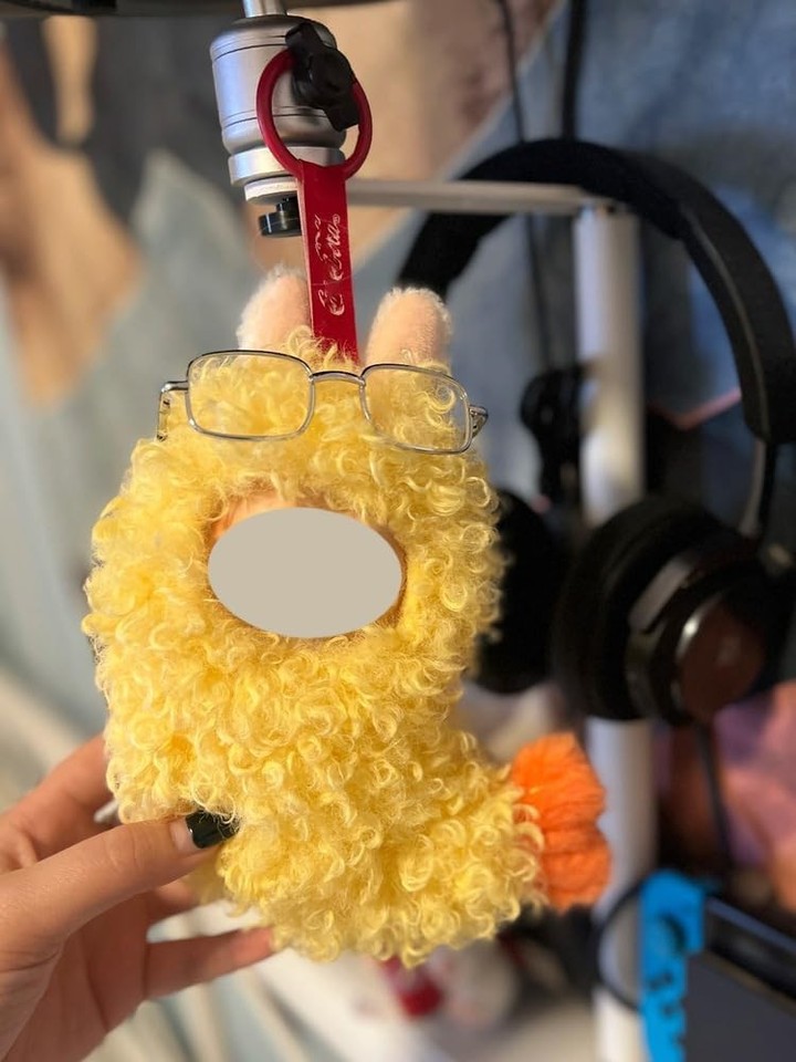 Stylish Doll Clothes for Lububu 17cm Plush Doll, Chic Bee Outfit for La ...