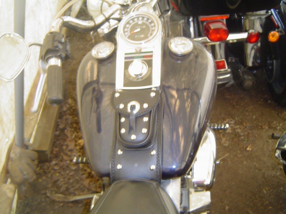 Harley Davidson Tank Panel Softail-Fatboy-FST FLSTF-FLSTC- Nightrain ...