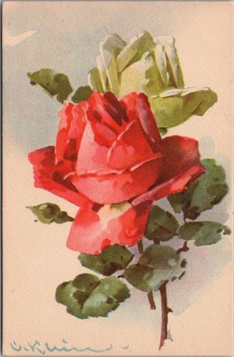 Artist-Signed CATHERINE KLEIN Embossed Postcard White & Red Roses / Nr ...