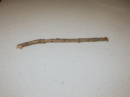 The World’s Most Expensive Stick | eBay