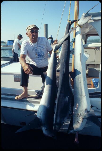 Photo:Frank Mundus, shark hunting, Montauk Point, LI. [[i.e. Long ...