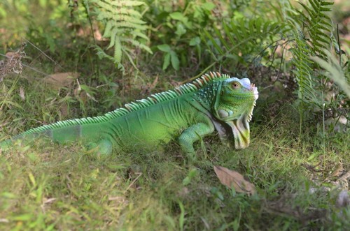 Display Wildlife Lizard Iguana Garden Statue Home Garden Reptile ...