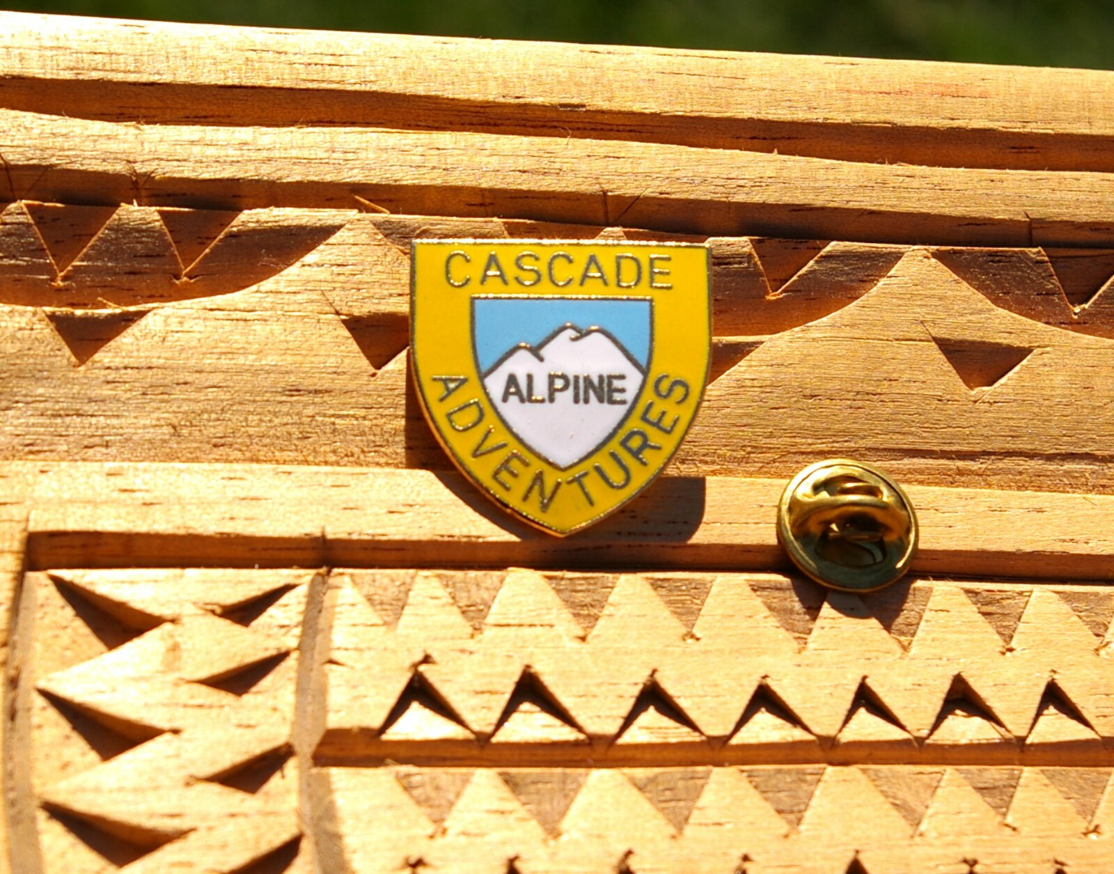 Cascade Alpine Adventures of Washington Enamel Pin Pinback Mountain Ski ...