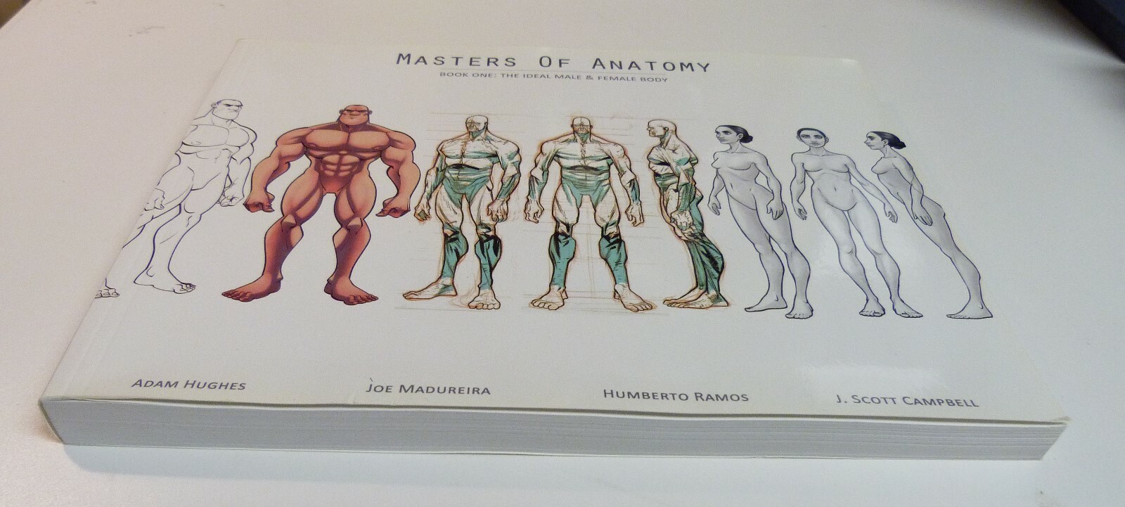 Masters of Anatomy Book 1 - The Ideal Male & Female Body | eBay