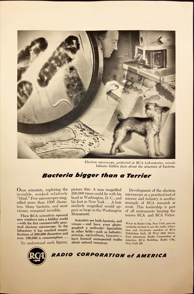 1948 RCA Laboratories Electron Microscope Terrier Dog Print Ad | eBay