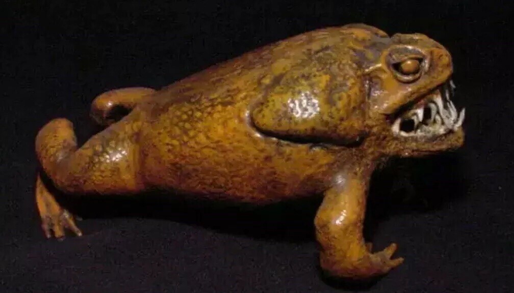 Giant Deformed Cane Toad Freak taxidermy Gaff Frog | eBay