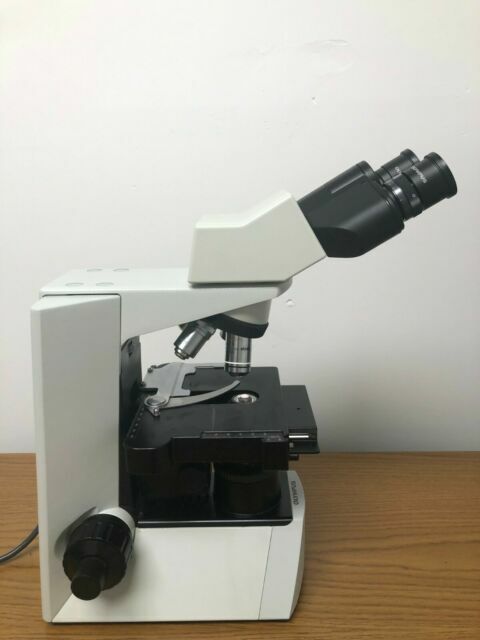 Olympus CX31 Upright Microscope - White for sale online | eBay