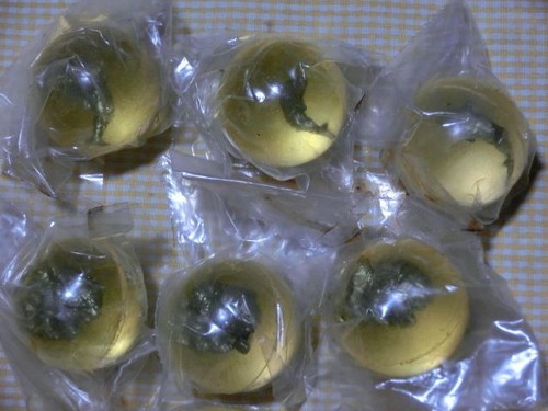 Power Rangers Wild Force Gao Crystal figures 14pcs set Gaoranger Super ...