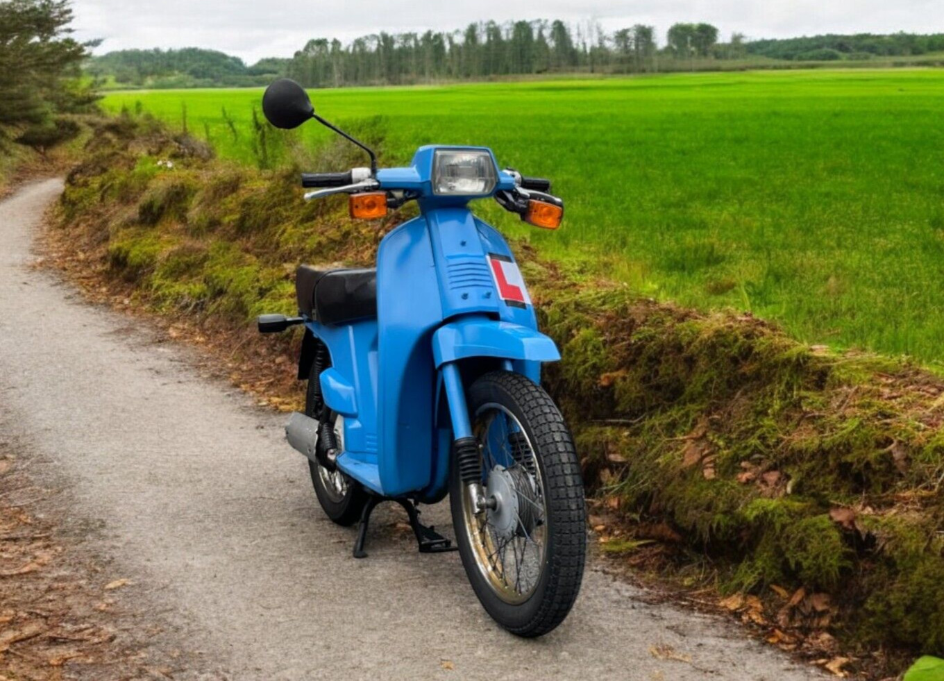 1986 Honda Sh50 City Express Scoopy 50cc Moped - Bike Years - 1980s
