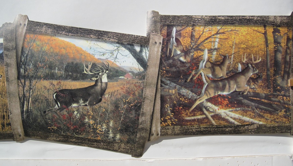 Deer Wallpaper Border 51+ Cool Deer