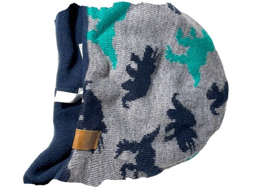 Kids Dinosaur Winter Youth Beanie Hat Ear Flops Gray Nice | eBay