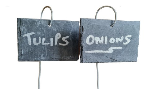 20 Natural Slate Hanging Garden Plant Markers Labels Gardening Gift ...