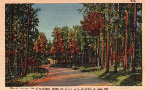 Postcard ME South Waterford Greetings Fall Foliage Linen Vintage PC ...