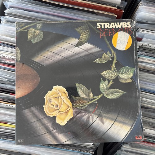 Strawbs - Deep Cuts - SEALED 1976 VINYL LP RECORD ALBUM | eBay