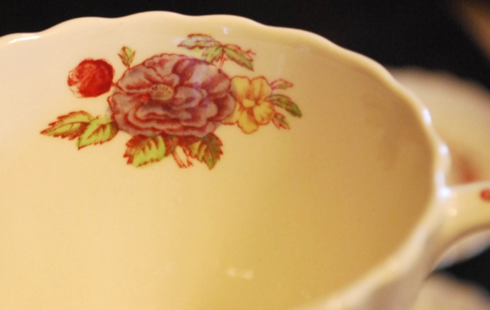 Vtg Set 3 SPODE ROSE BRIAR 5 Piece Place Settings [15 pc total] England ...