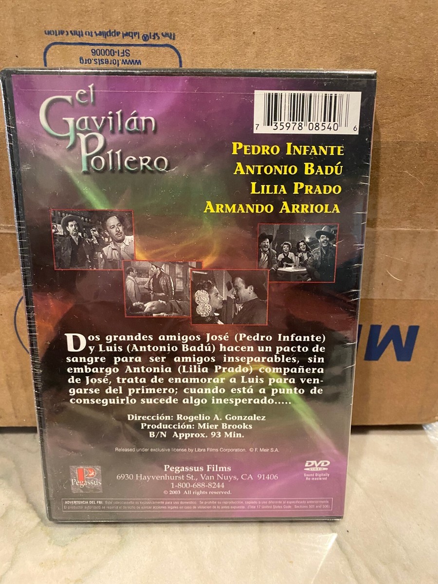 Memes Gavilan Pollero El Gavilán Pollero YouTube
