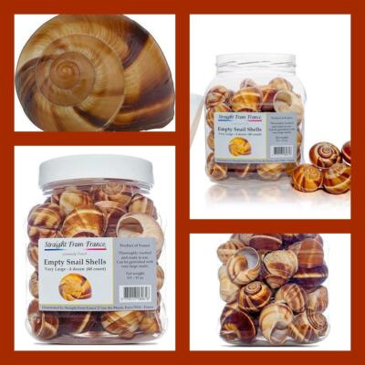 Straight from France Escargot Snail Shells Large 48 Count Crafts ...