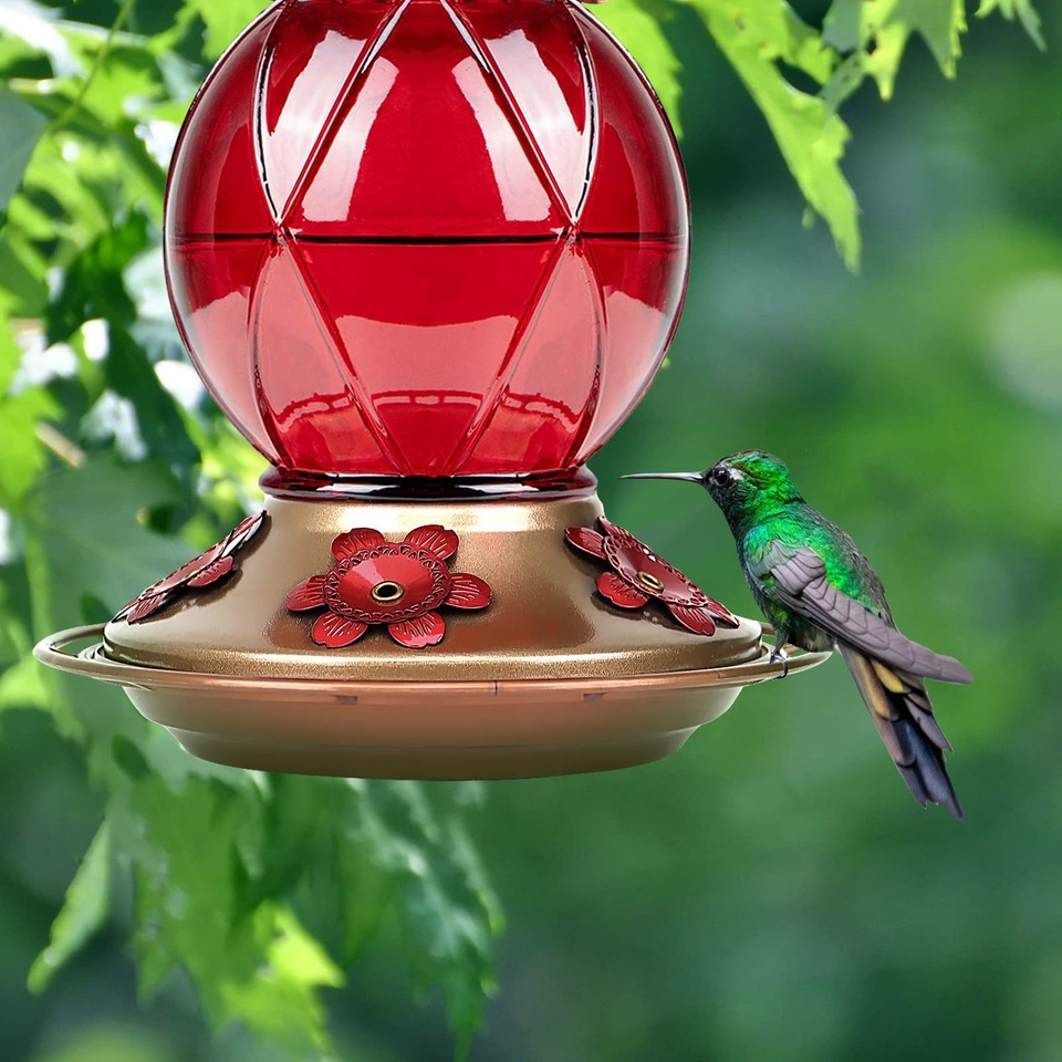 Hummingbird Feeder Glass Hummingbird Feeder For Outdoors Meshy Texture ...