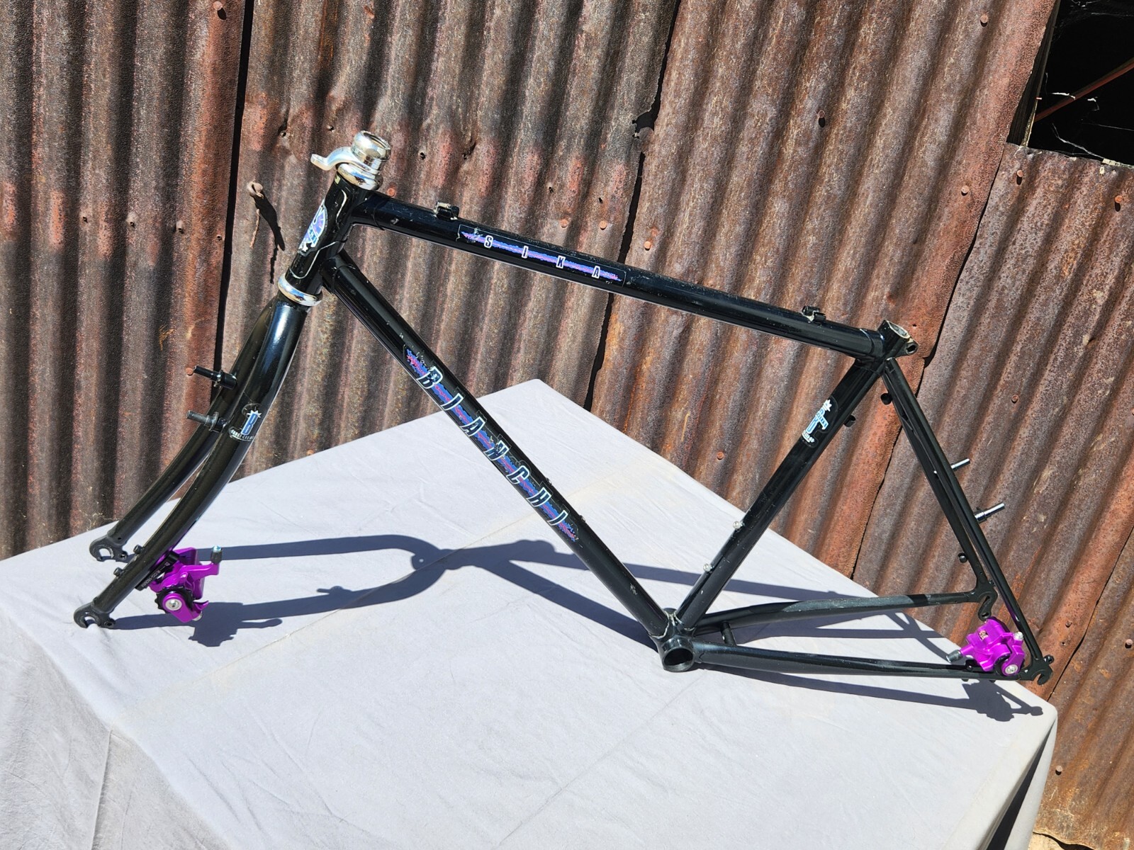 Bianchi Vintage steel mountain bike frame with Paul Flat Mounts 180/160 ...