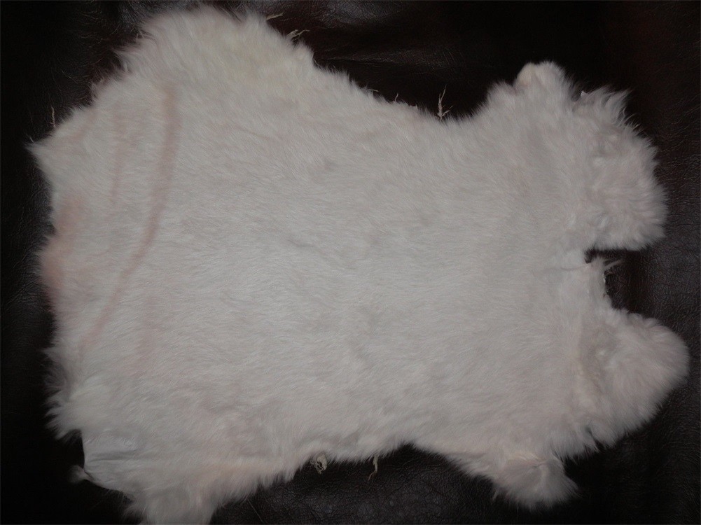 3x White High Grade Real Rabbit Fur Pelt Rabbit Skin For Pets Clothes ...
