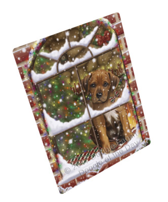 Come Home For Christmas Rhodesian Ridgebacks Dog Woven Throw Sherpa ...