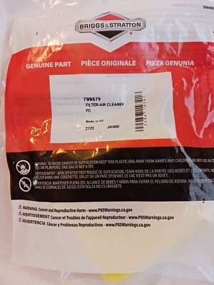 Foam Air Filter for Briggs and Stratton 799579 Genuine Part | eBay